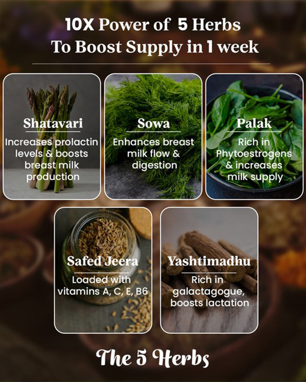 Healofy Nutri Plus Lacto Boost Granules-Breast Milk Enhancer ...